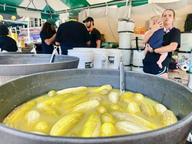 Year of the pickle: Briny favorite more popular than ever in 2024 ...